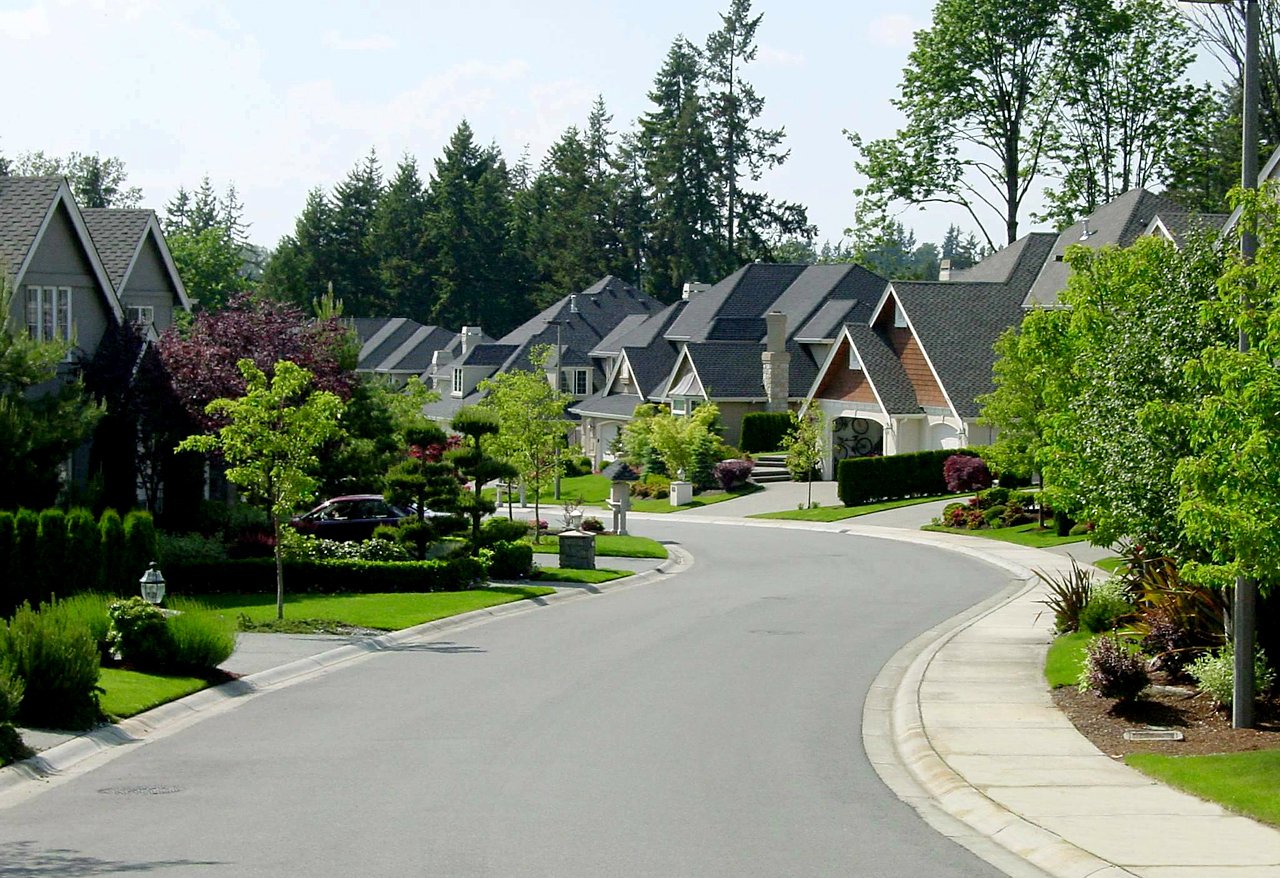 Newcastle Tree Service - Trimming, Cutting & Tree Removal